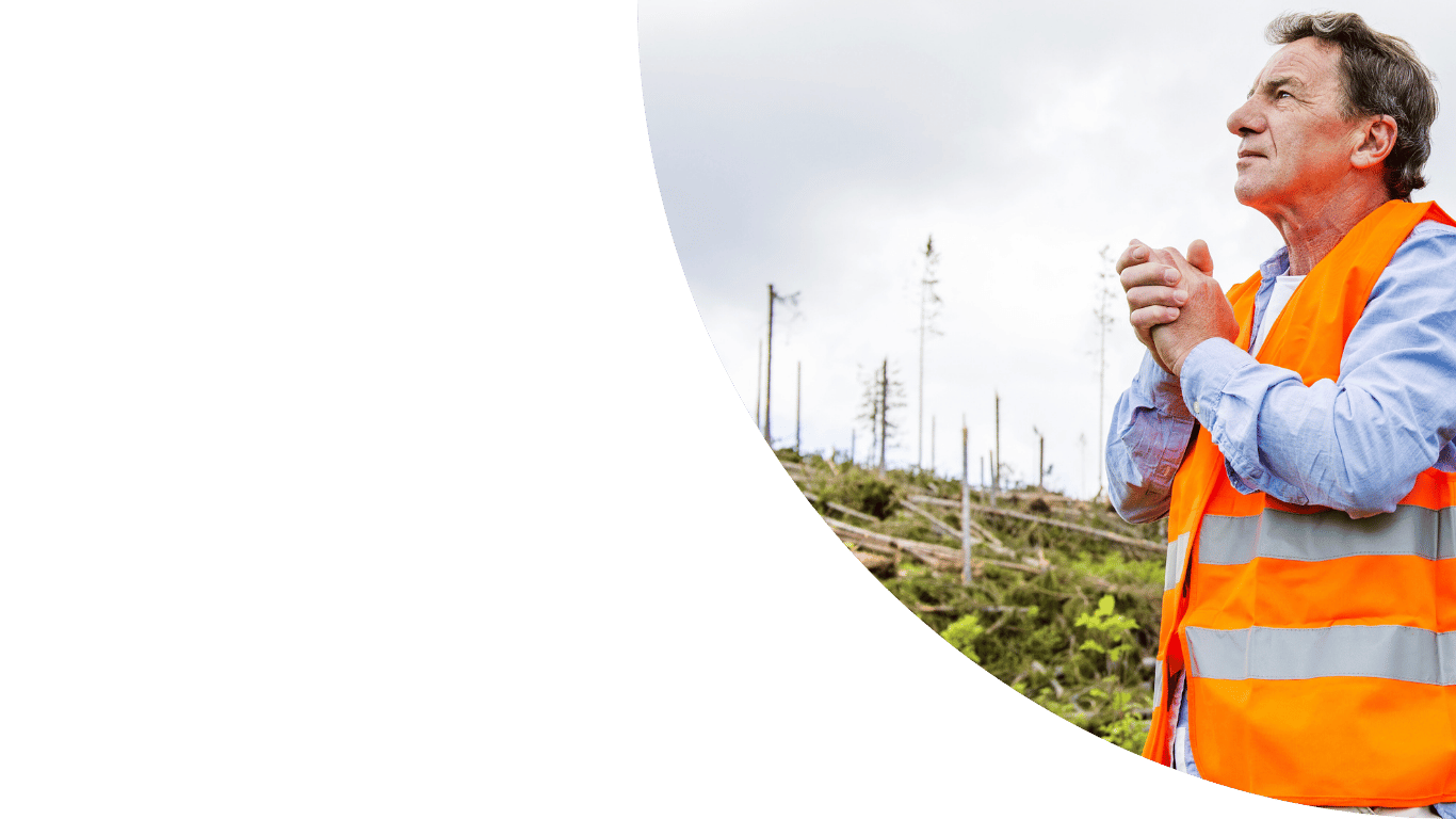 Disaster Management Software | ReDI by Galaxy Digital