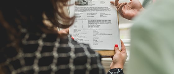 7 Examples of Volunteer Work That Positively Impact your Community