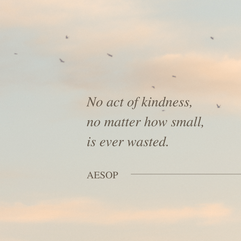 Find Your Inspiration: Quotes for Volunteers