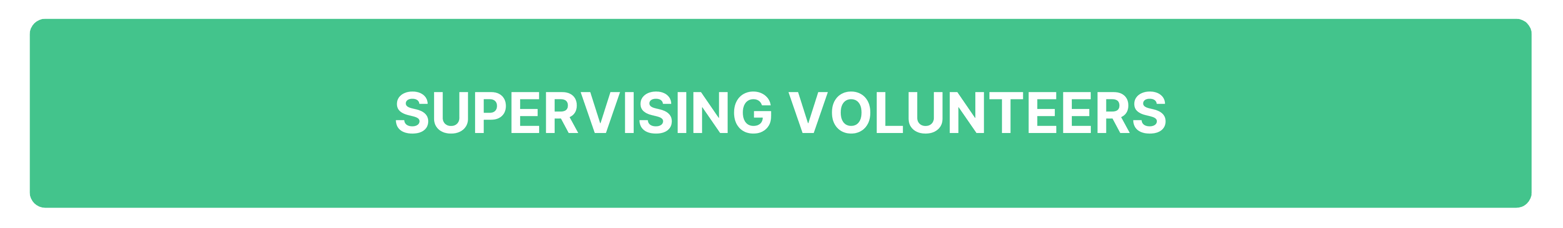 Volunteer Management: The Ultimate Guide