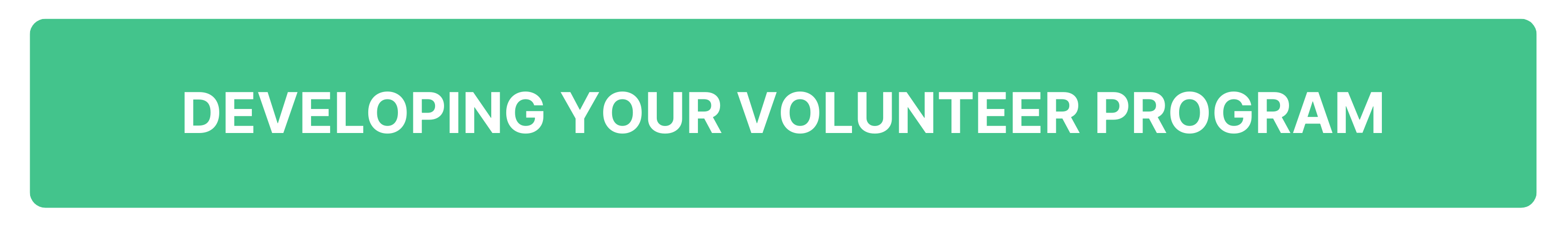 Volunteer Management: The Ultimate Guide